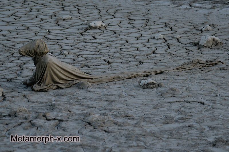 Metamorph-X Chains in the forest